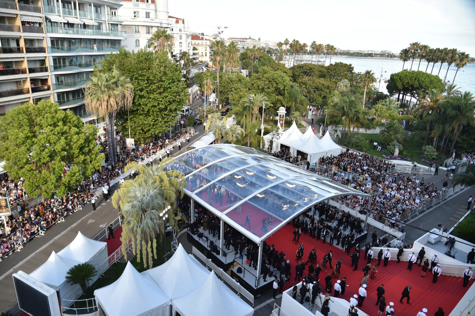 Le Festival de Cannes fait une déclaration sur l’Ukraine - Boxoffice Pro